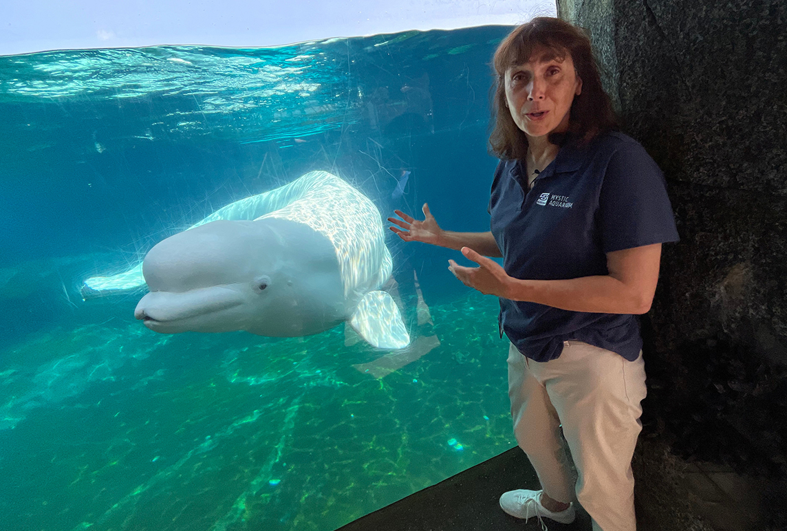 Visit - Off-Campus Admitted Receptions